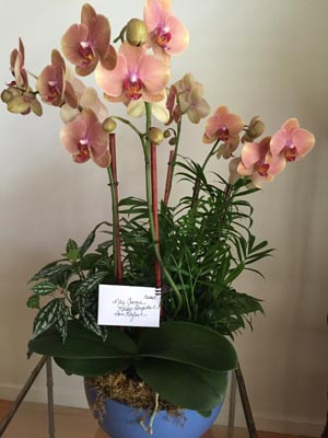 Funeral Memorial Sympathy Flower Arrangements Marin County Village ...
